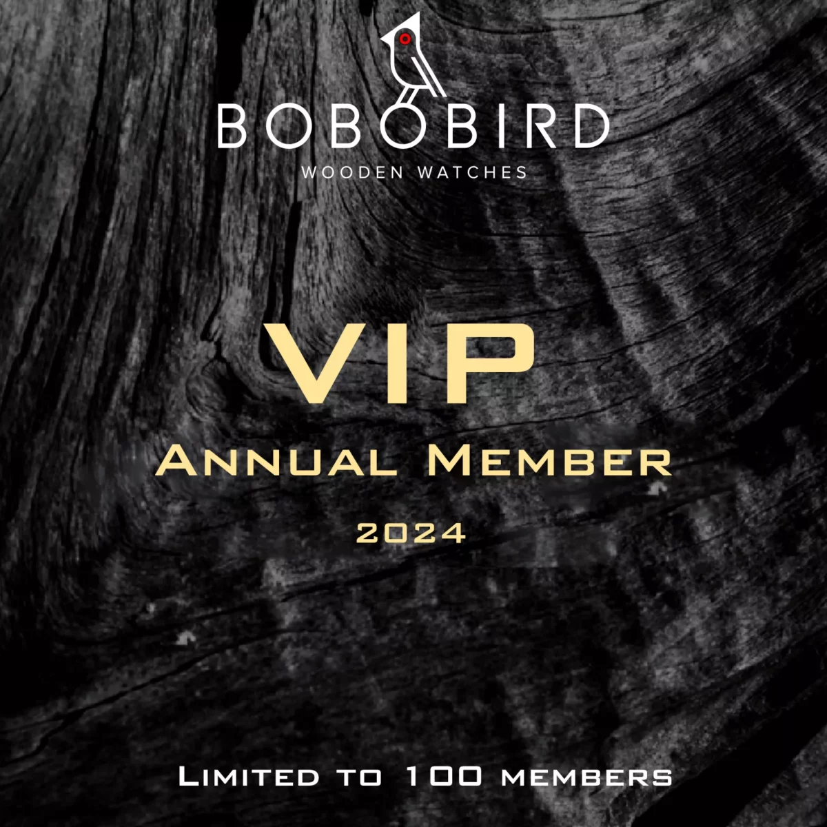 BOBO BIRD VIP Annual Member 2024
